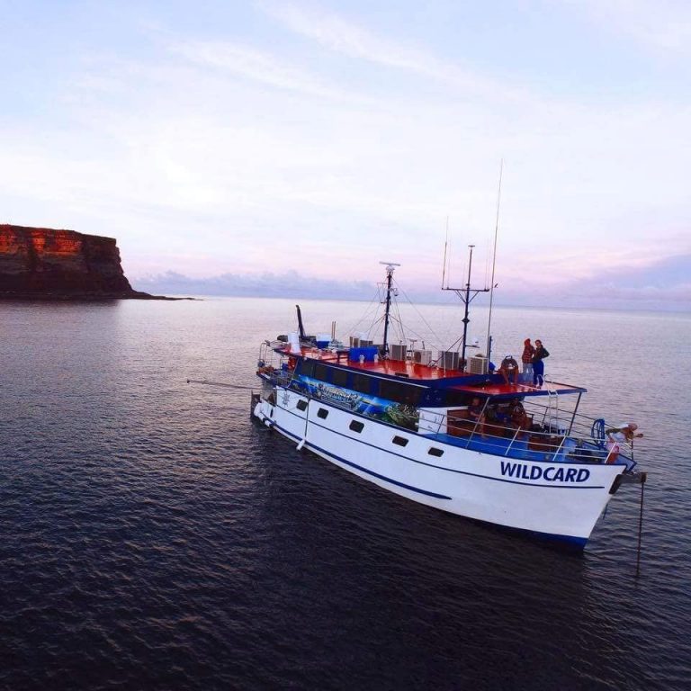 Wild Card Mothership Sportsfishing | Fishing Earth