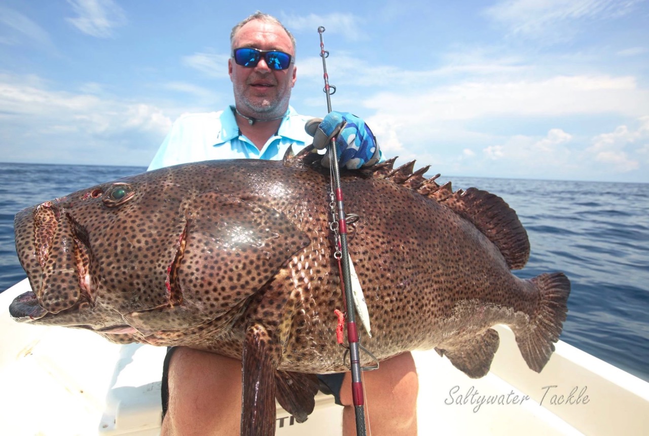 Long Reef Blue Water Fishing Adventure | Fishing Earth