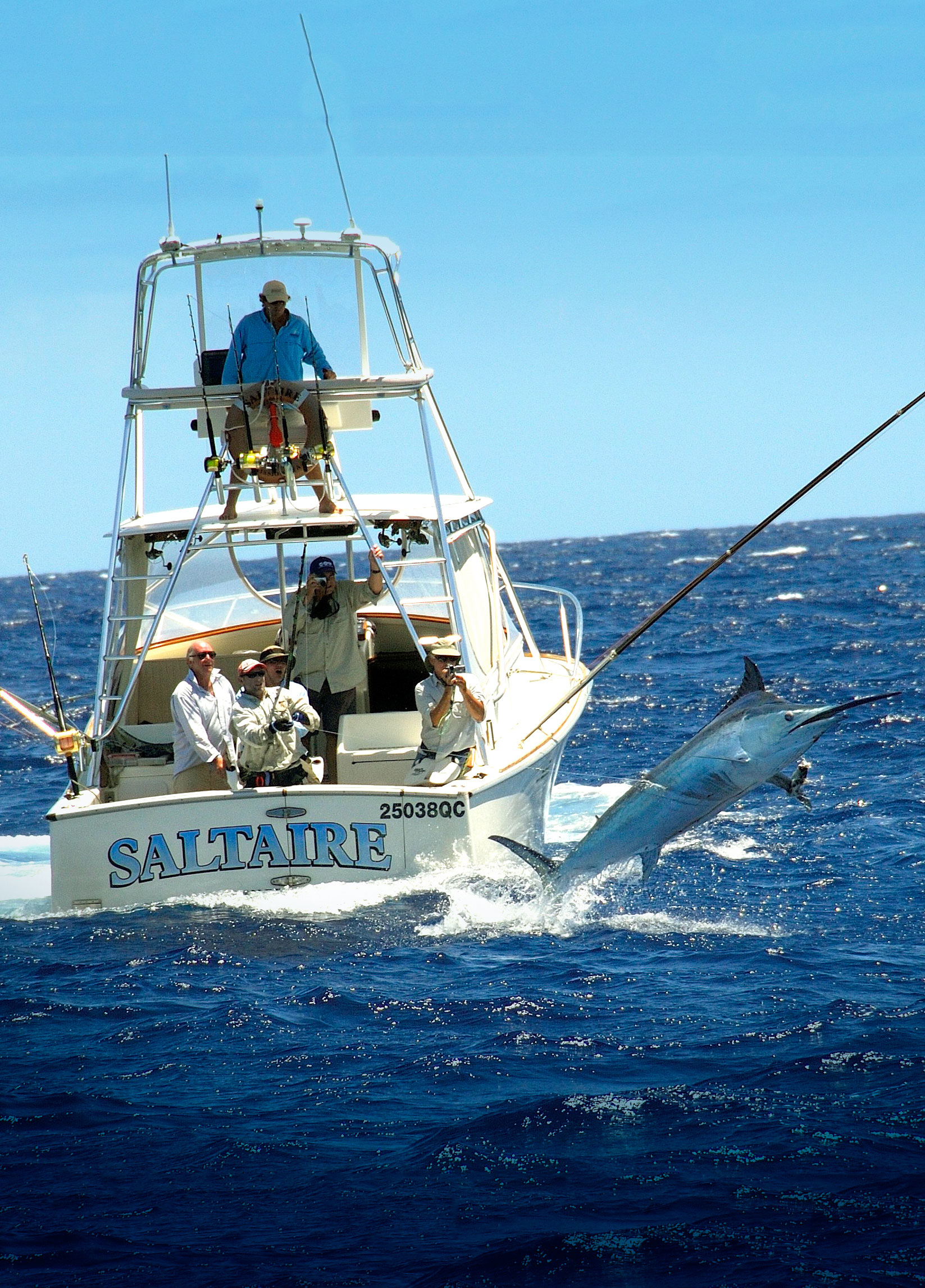 Saltaire Sportfishing Charters | Fishing Earth